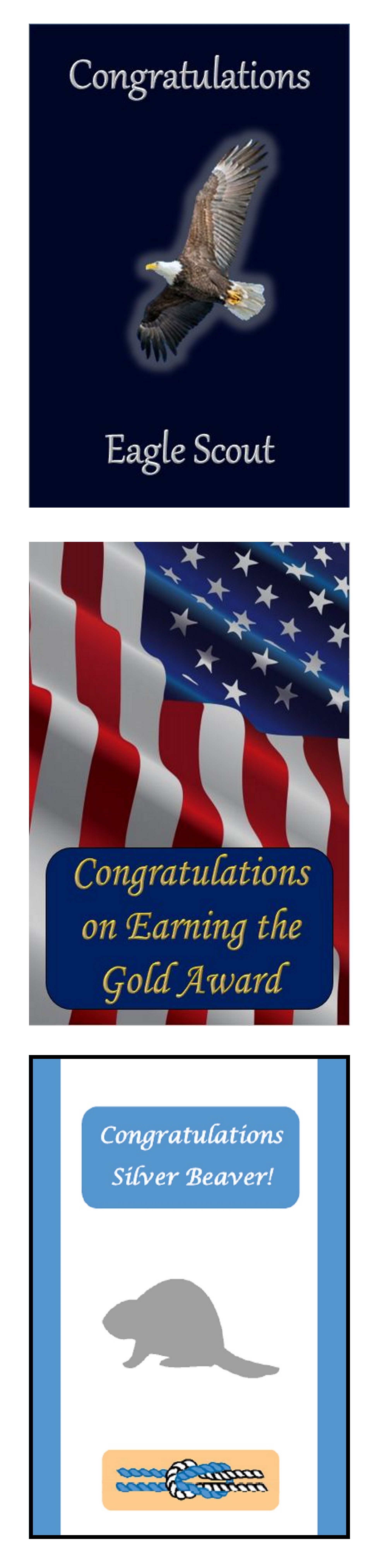 Gold Award, Blue Card, and Silver Beaver